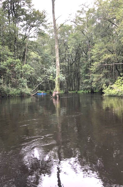Spending the Fourth of July on the Lumbee River | Laurinburg Exchange