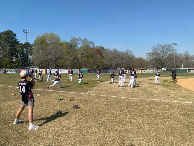 CTCA baseball routs Antioch Christian | Laurinburg Exchange